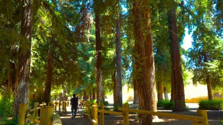 30 Best and Fun Things to Do in Chino Hills, CA - Travel priest